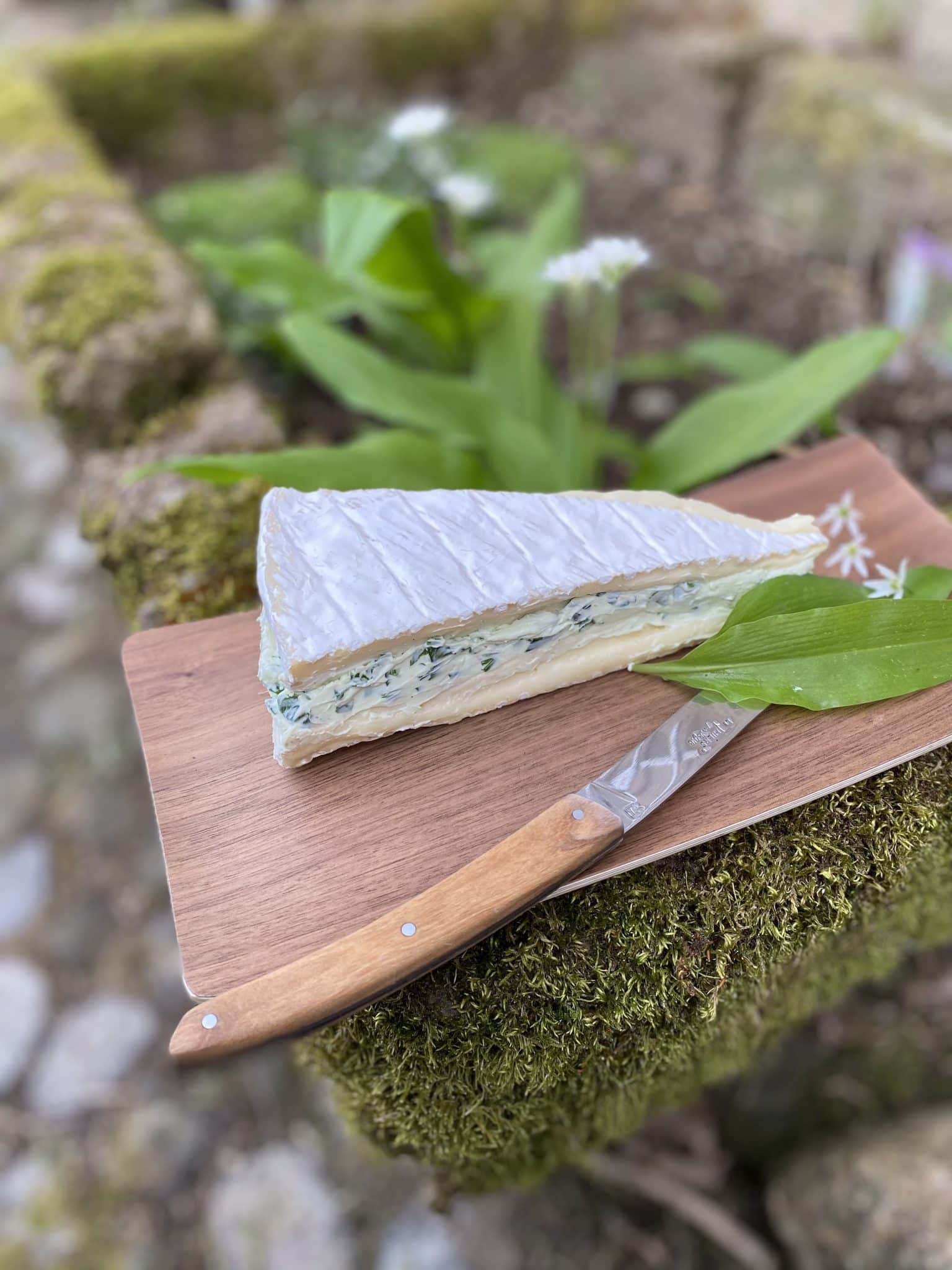 Brie Ail Des Ours
